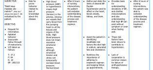 Nursing Care Plan for Depression / Hope & Life